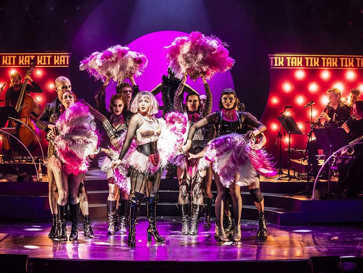 Musenblätter - Das unabhängige Kulturmagazin