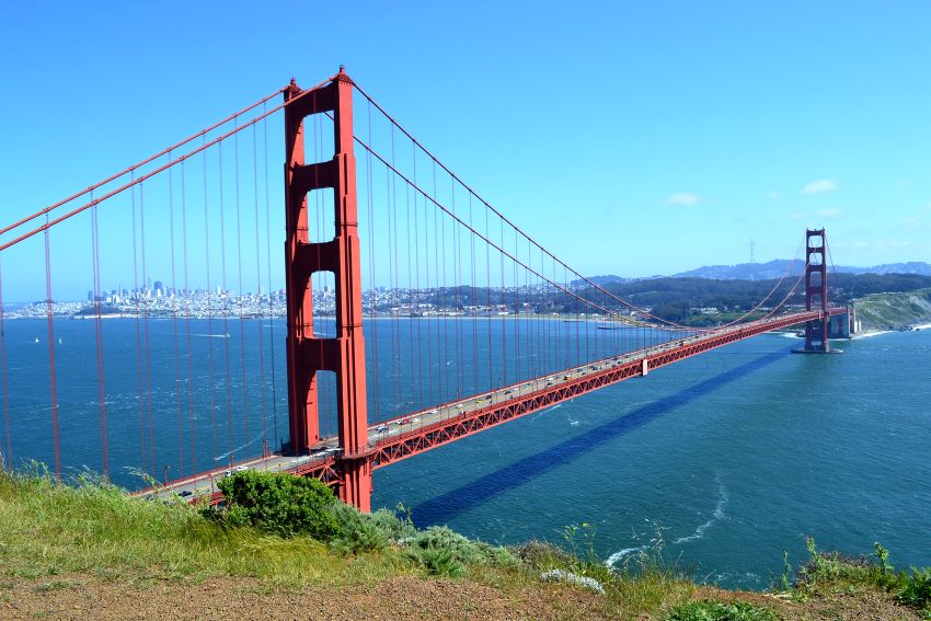 Musenblätter - Das unabhängige Kulturmagazin