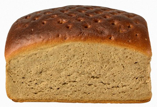 Musenblätter - Das unabhängige Kulturmagazin